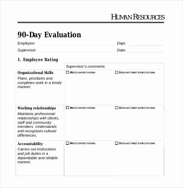 30 90 Day Employee Evaluation Form Example Document Template