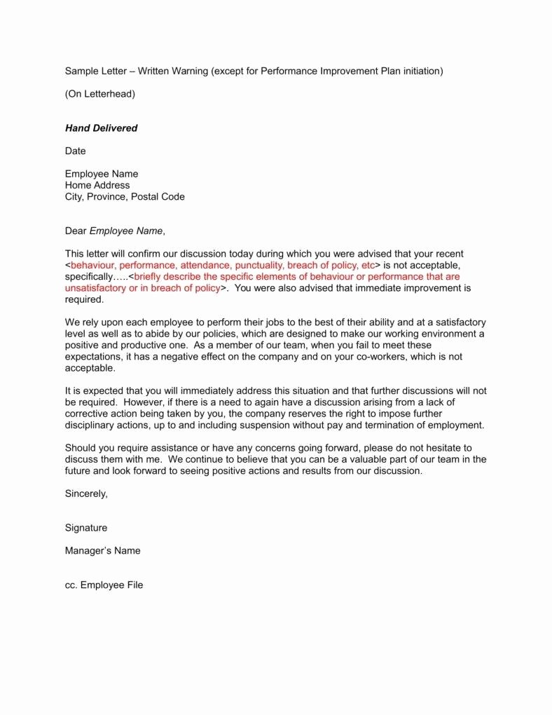 30 Disrespectful Employee Write Up Example Document Template