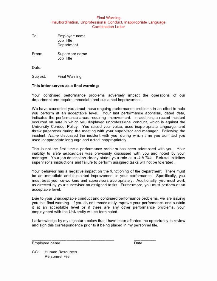 30 Disrespectful Employee Write Up Example Document Template