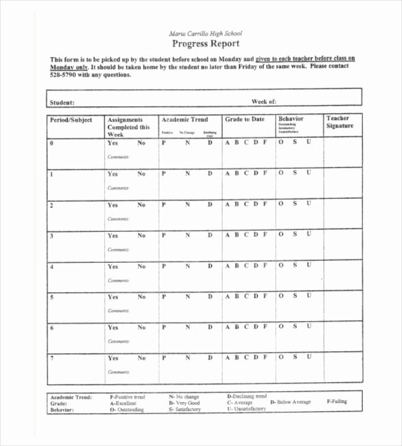 30 Elementary Progress Report Templates Example Document Template