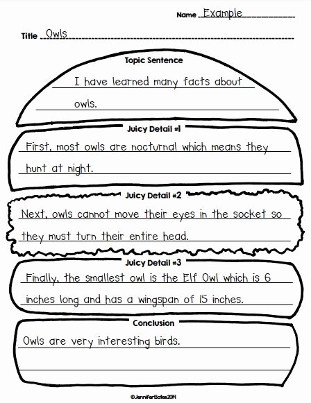 30 Examples Of Informative Writing Example Document Template