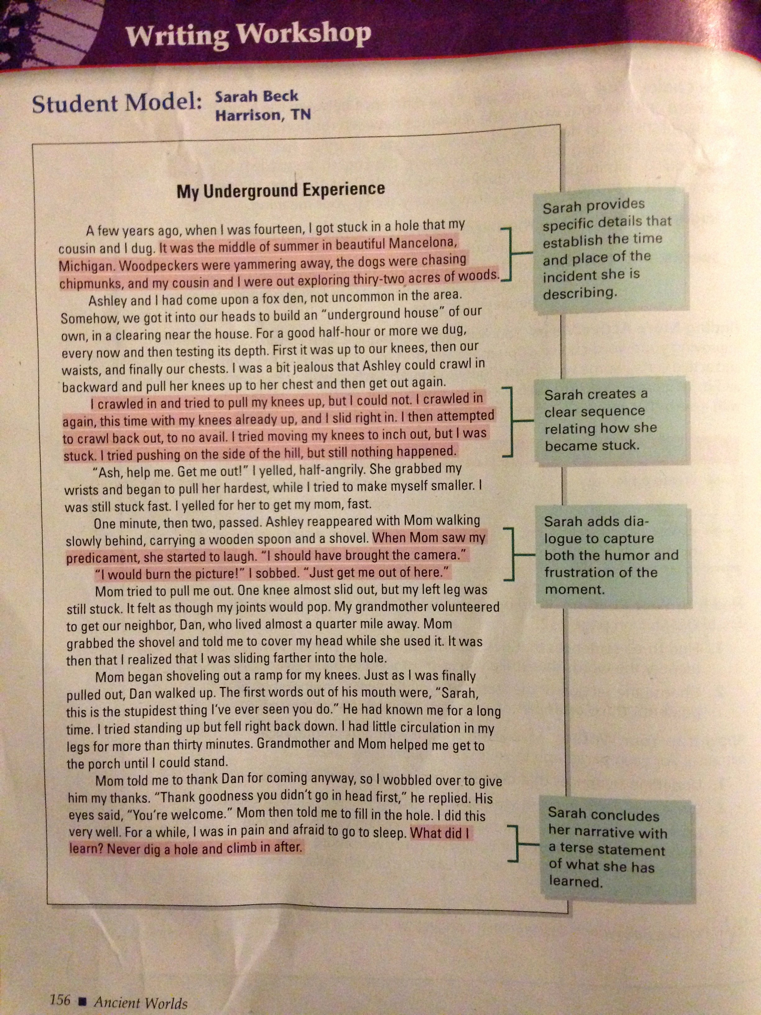 Essay Typer Free Copy And Paste Venn Diagram Worksheets Venn 