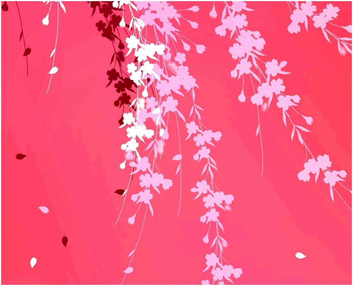 30 Free Background Templates For Word Example Document Template