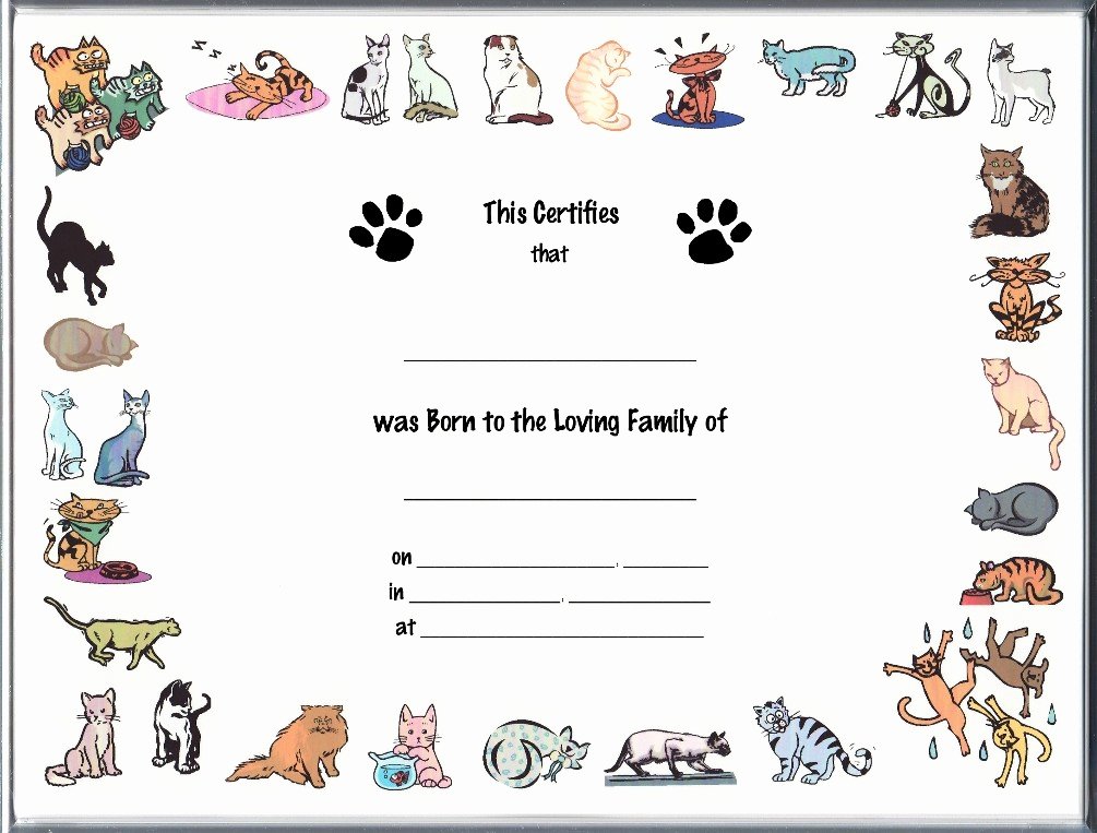 30 Free Printable Dog Birth Certificate Example Document Template