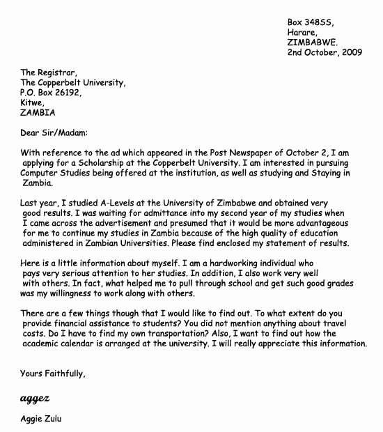 30 High School Scholarship Essay Examples Example Document Template