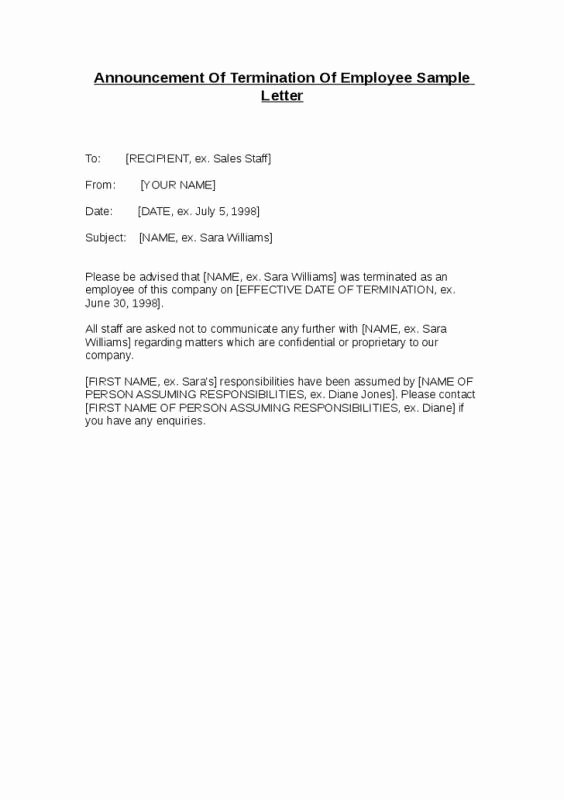 30 Internal Promotion Announcement Sample Example Document Template
