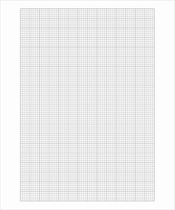 30 Large Print Graph Paper Example Document Template