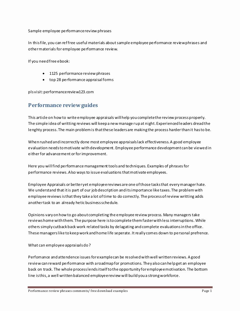 30 Sample Annual Performance Review Example Document Template