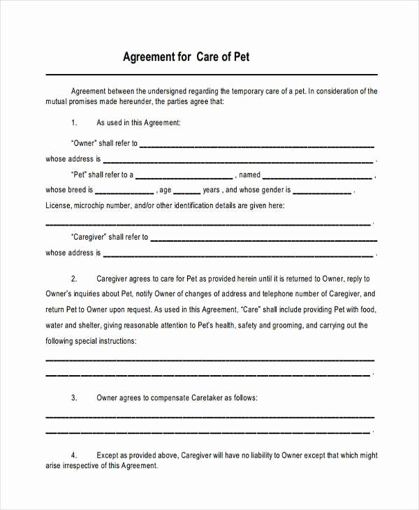 30 Sample Child Visitation Agreement Example Document Template