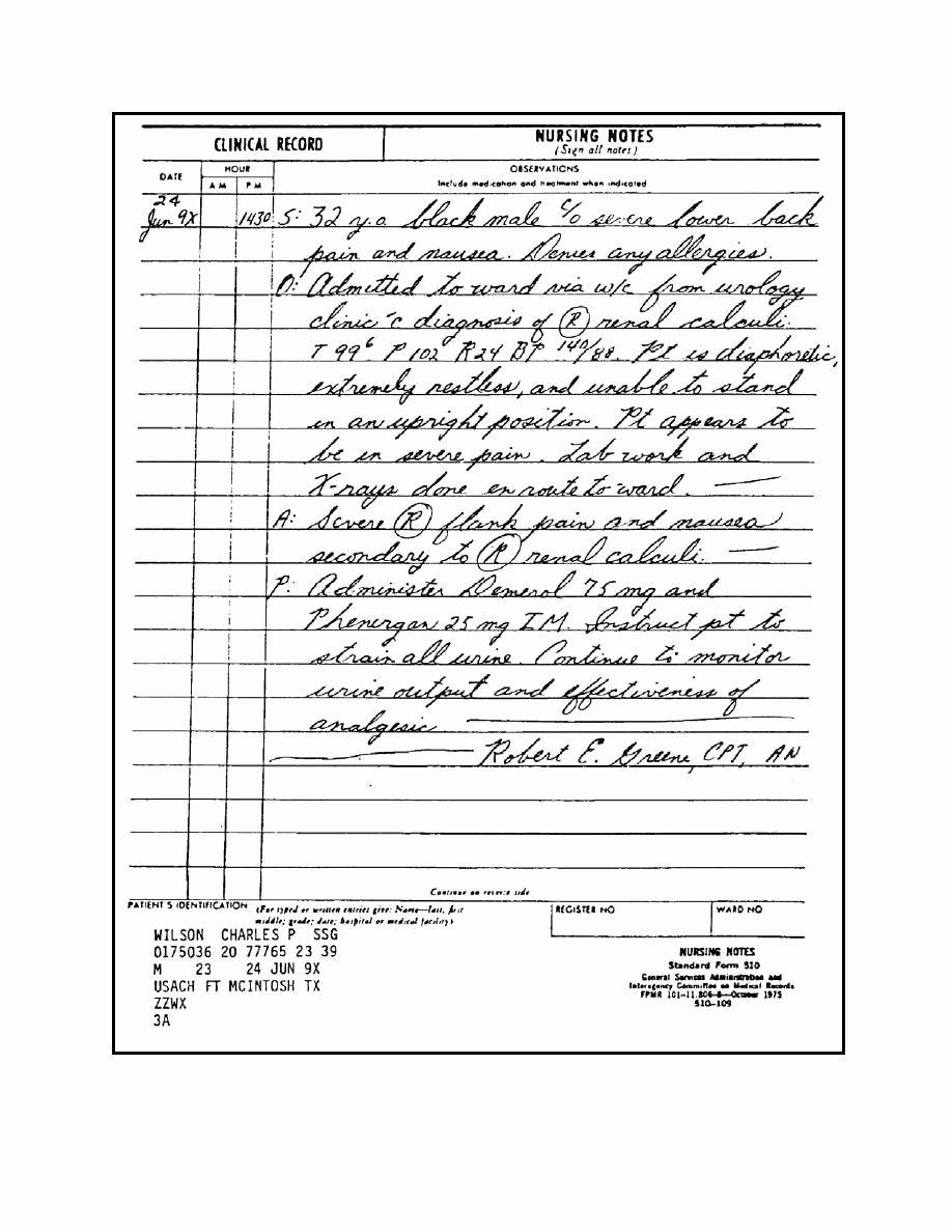 30 Sample Nurses Notes Narrative Example Document Template 30 Sample Nurses Notes Narrative Example Document Template