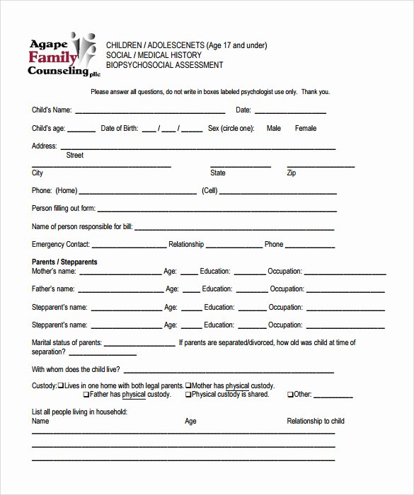 30 Social Work Assessment Form Example Document Template