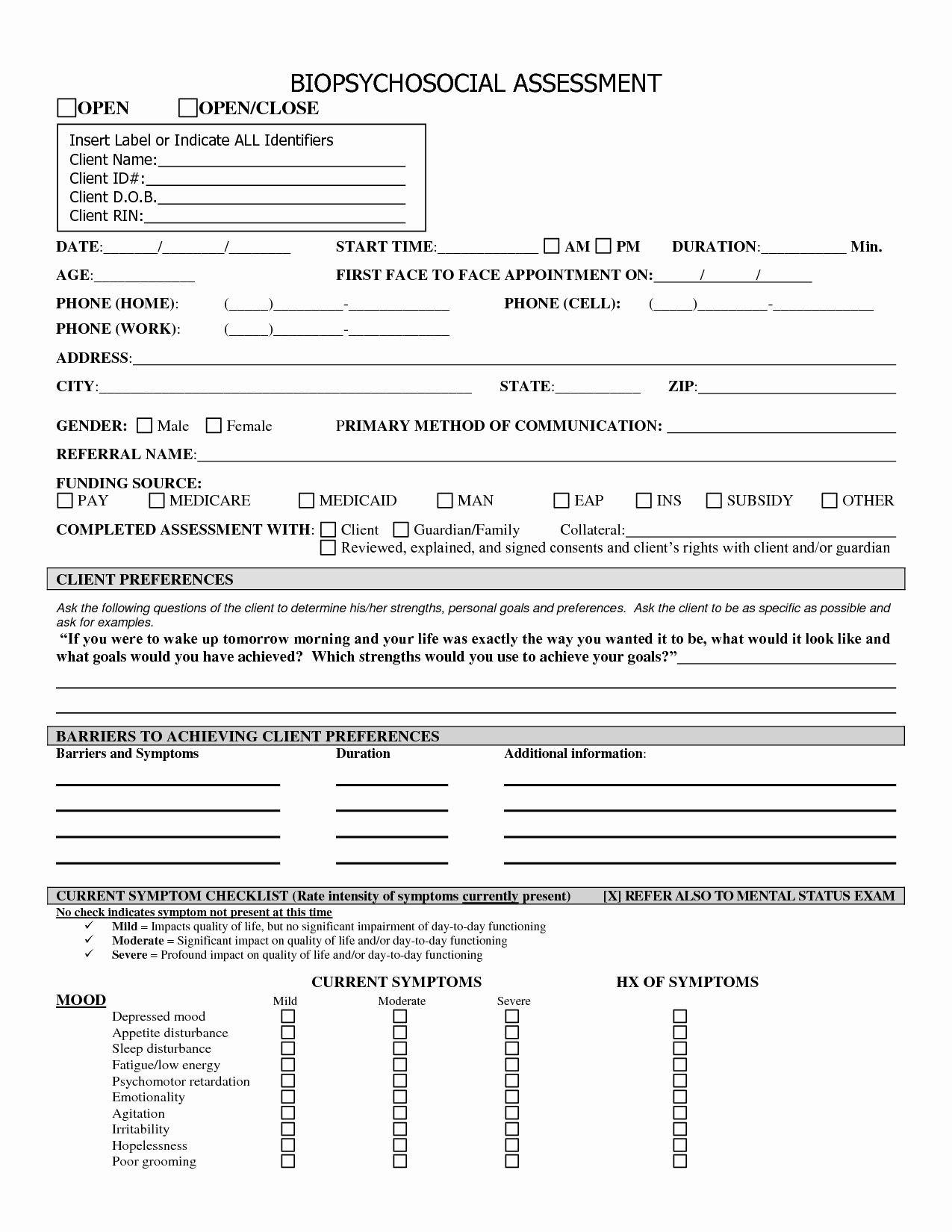 30 Social Work Assessment Form Example Document Template