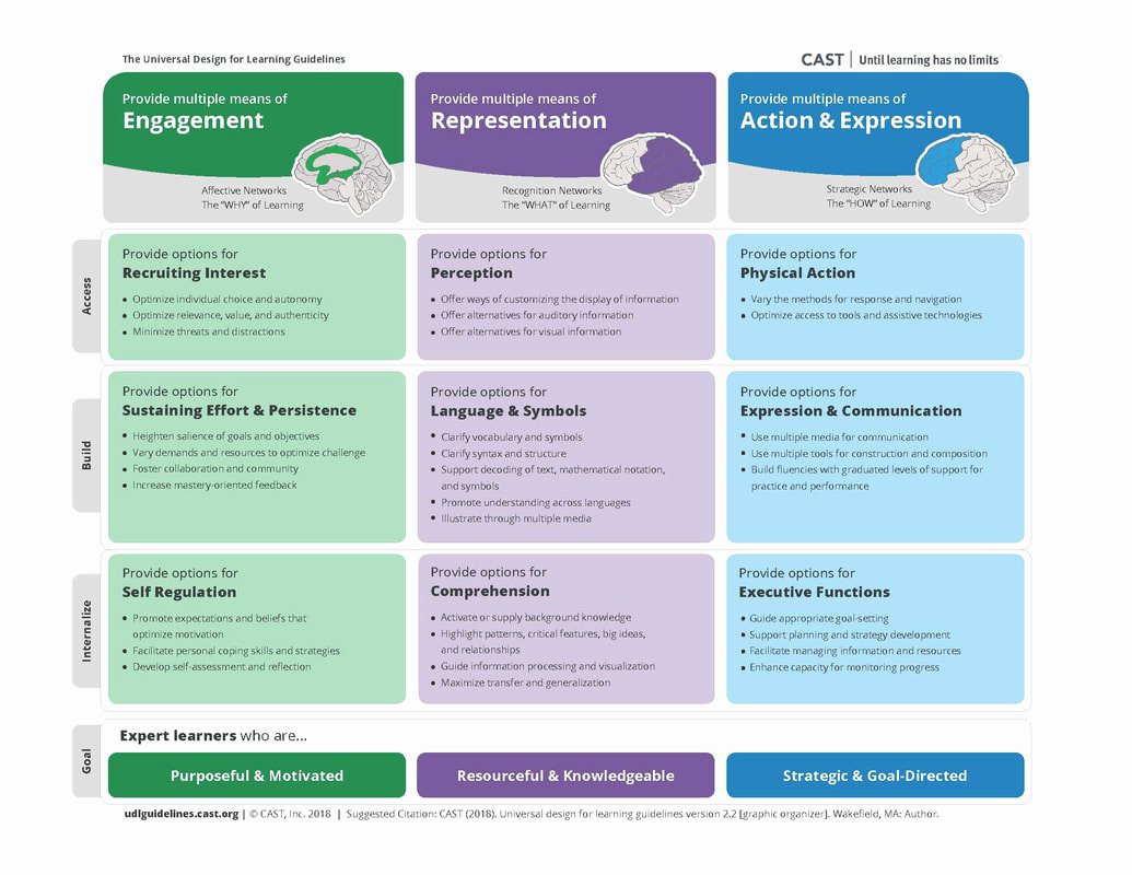 30 Udl Lesson Plan Template Example Document Template